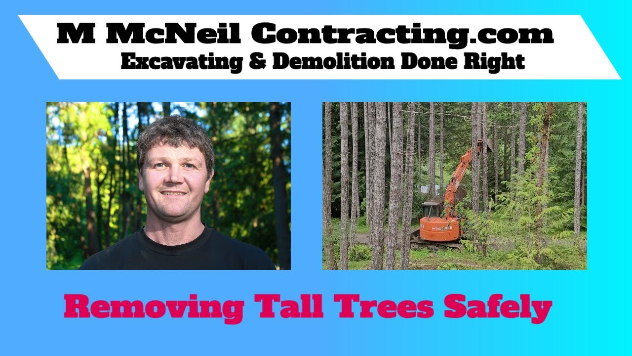 M McNeil Contracting Tree Removal - YouTube