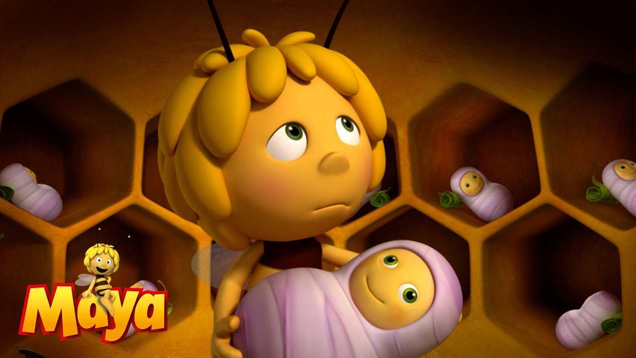 Insects in the hive - Maya the bee🍯🐝🍯 - YouTube