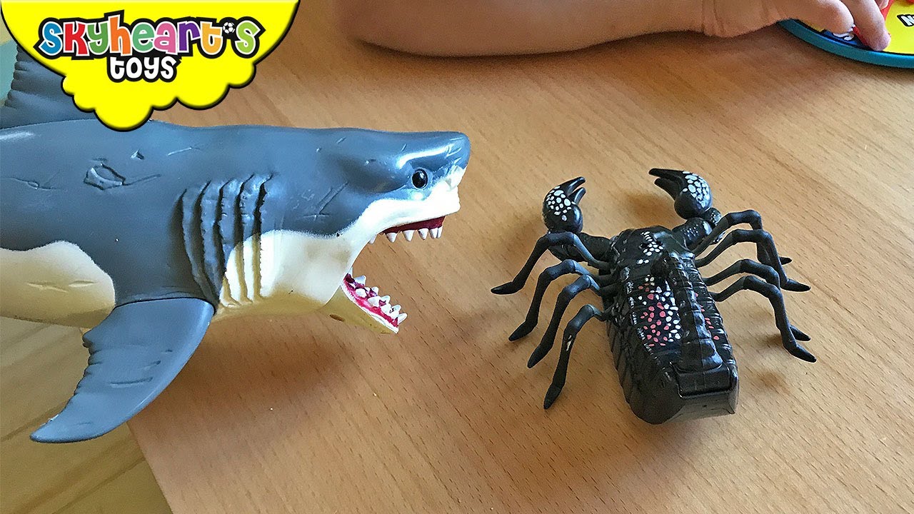 Our Pet Shark wants to play with SCORPION!! - Fluffy, Skyheart and ...