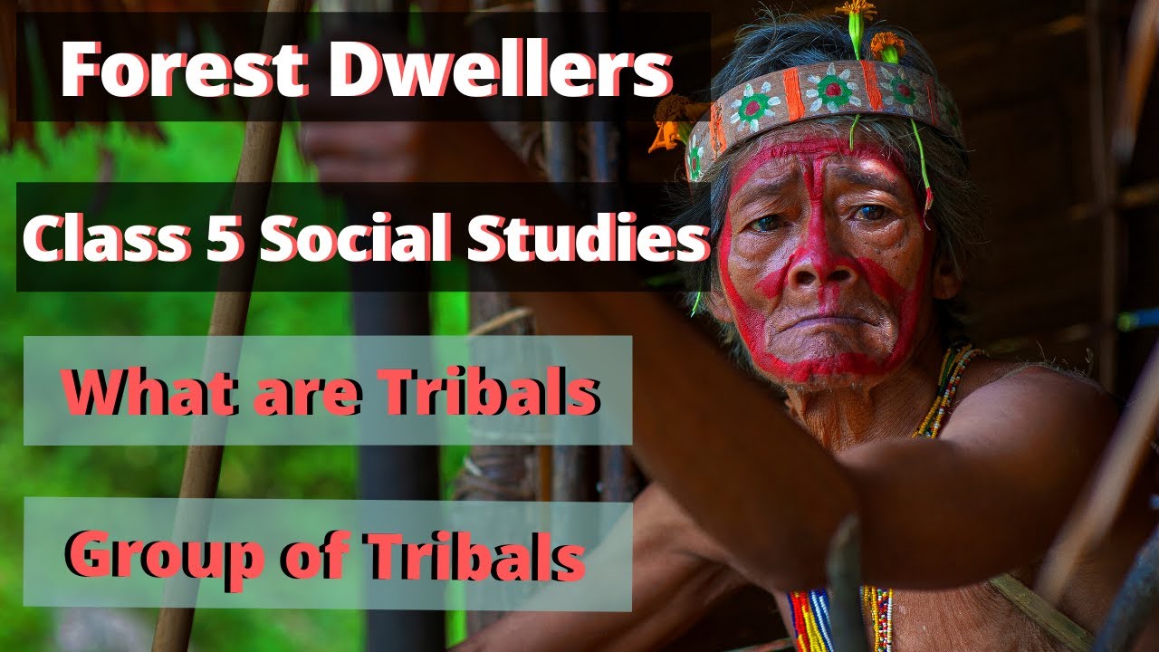 Forest Dwellers Class 5 Social Studies | What are Tribals | Group of ...
