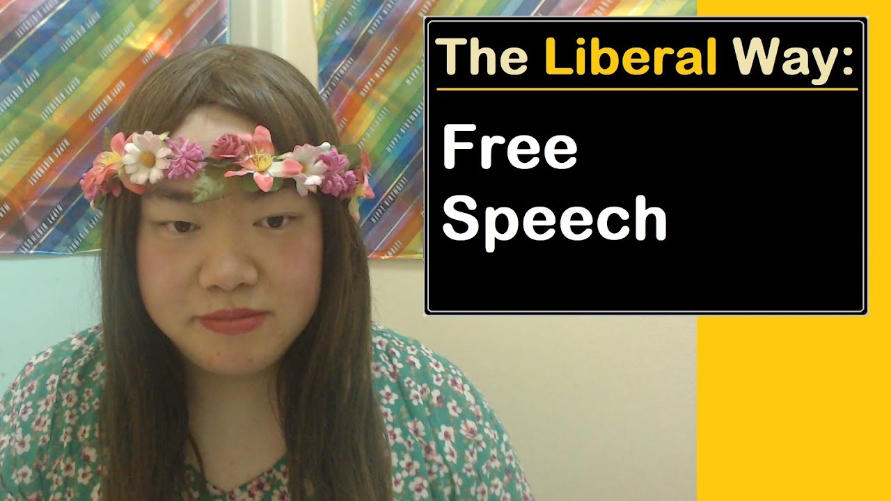 Free Speech: The Liberal Way by TaraElla (Summary) - YouTube