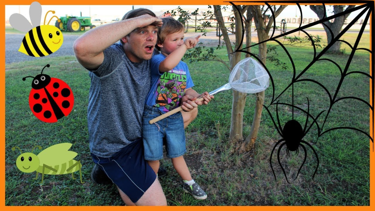 Bugs for kids | Bugs and crawly things for children | Finding insects ...