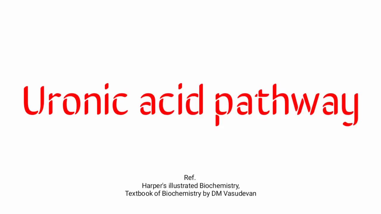 Uronic acid pathway || #Biochemistry - YouTube