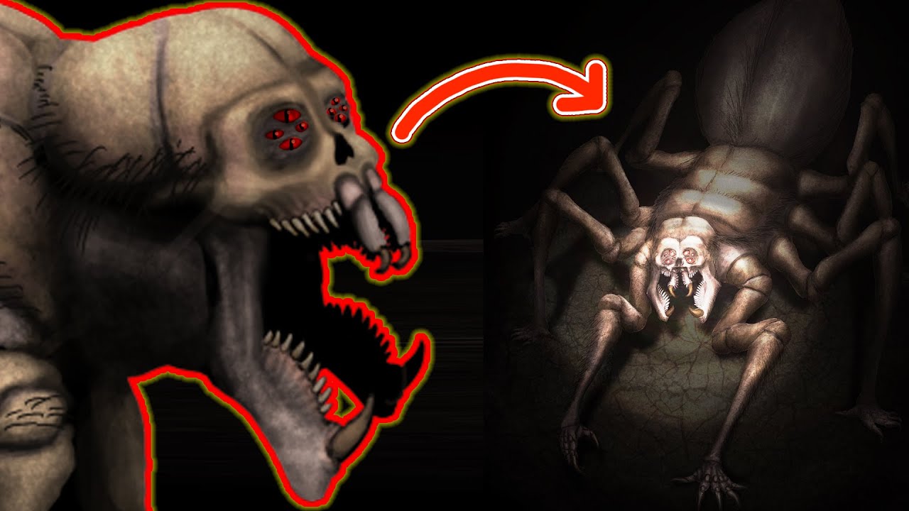 HUMAN SIZED SPIDER found UNDERGROUND... - YouTube