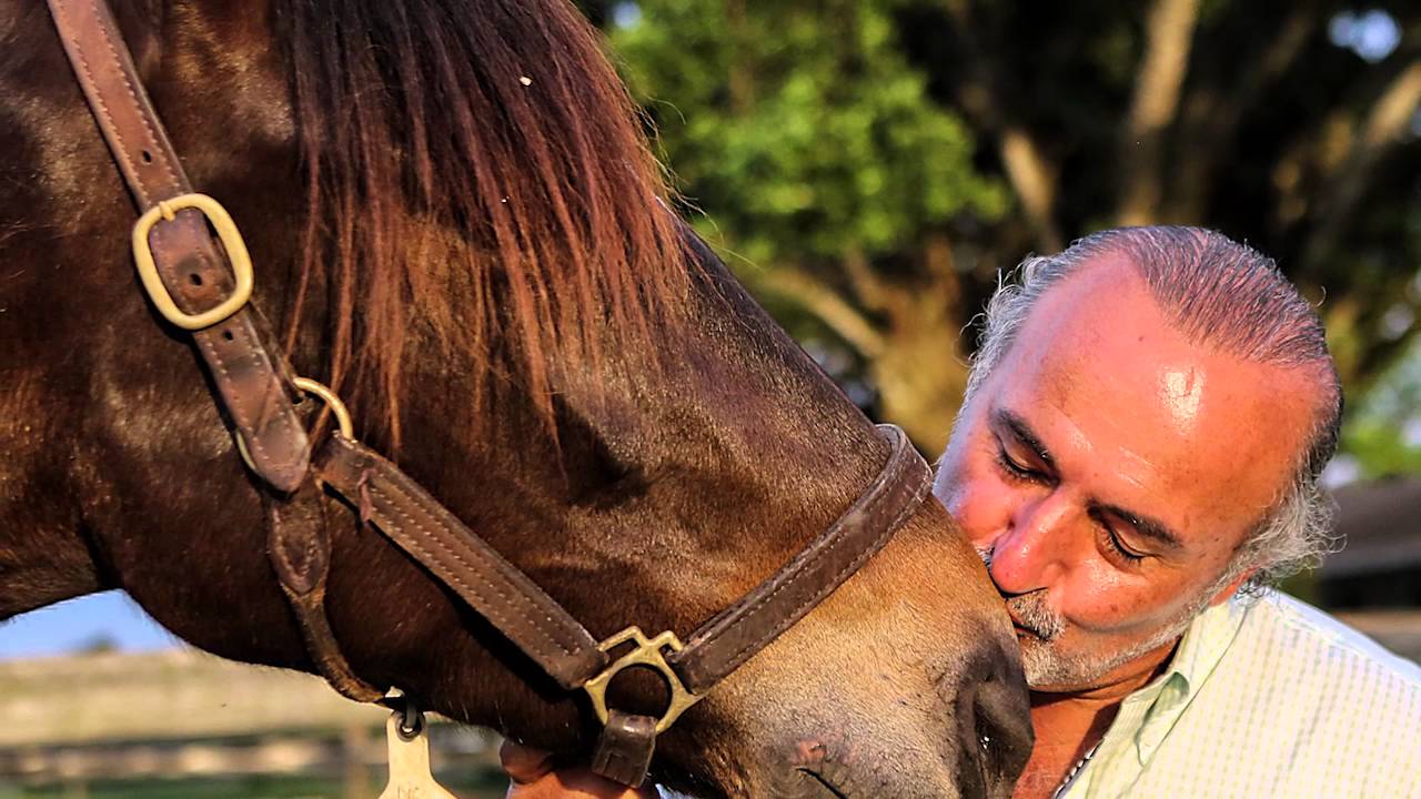 pbpostvideos: Sam Stathis welcomes four injured horses home after barn ...
