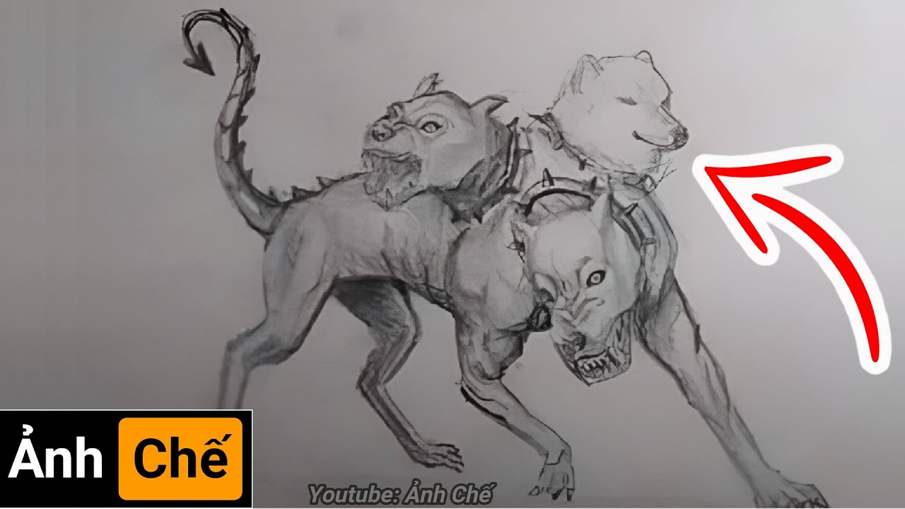 Chó Siba 3 Đầu | Những Hình Ảnh Hài Hước (P 156) - YouTube