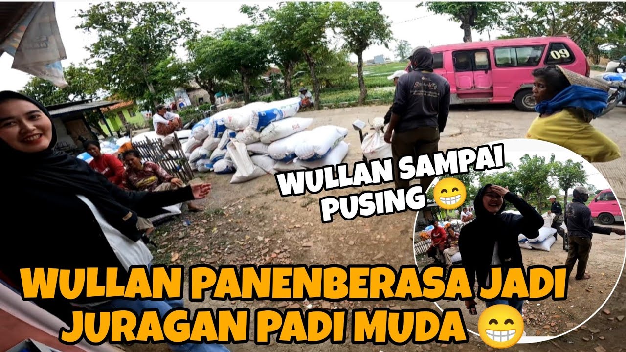MENJADI CURAGAN PADI SEHARI WULLAN SAMPAI PUSING 😁‼️ - YouTube