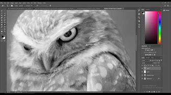 Photoshop Tutorials - YouTube