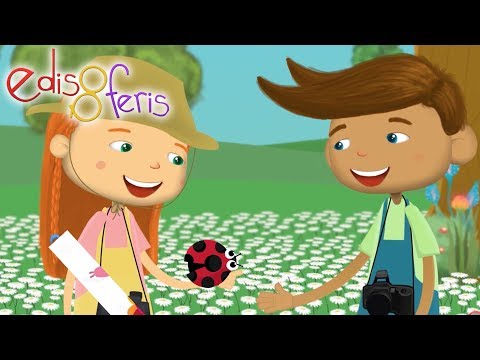 Haydi Ormana Gidelim Şarkısı ve Edis & Feris ile 10 Dakika Çocuk Şarkıları Dinle