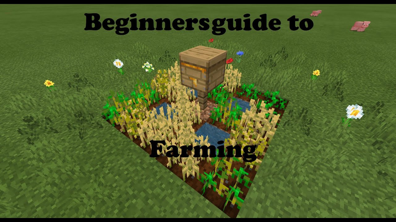 BEGINNERS TIPS FOR MINECRAFT FARMING - YouTube