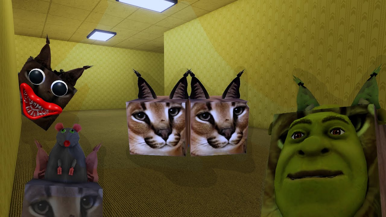 Find The Floppa Morphs - BACKROOM MAP | ROBLOX - YouTube