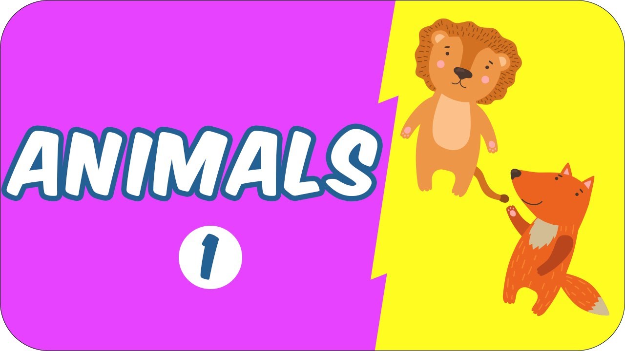 Animals - 1 | 2. Sınıf İngilizce - YouTube