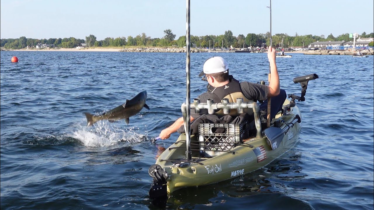 Chinook Salmon: Staging and Angry on Lake Michigan - YouTube