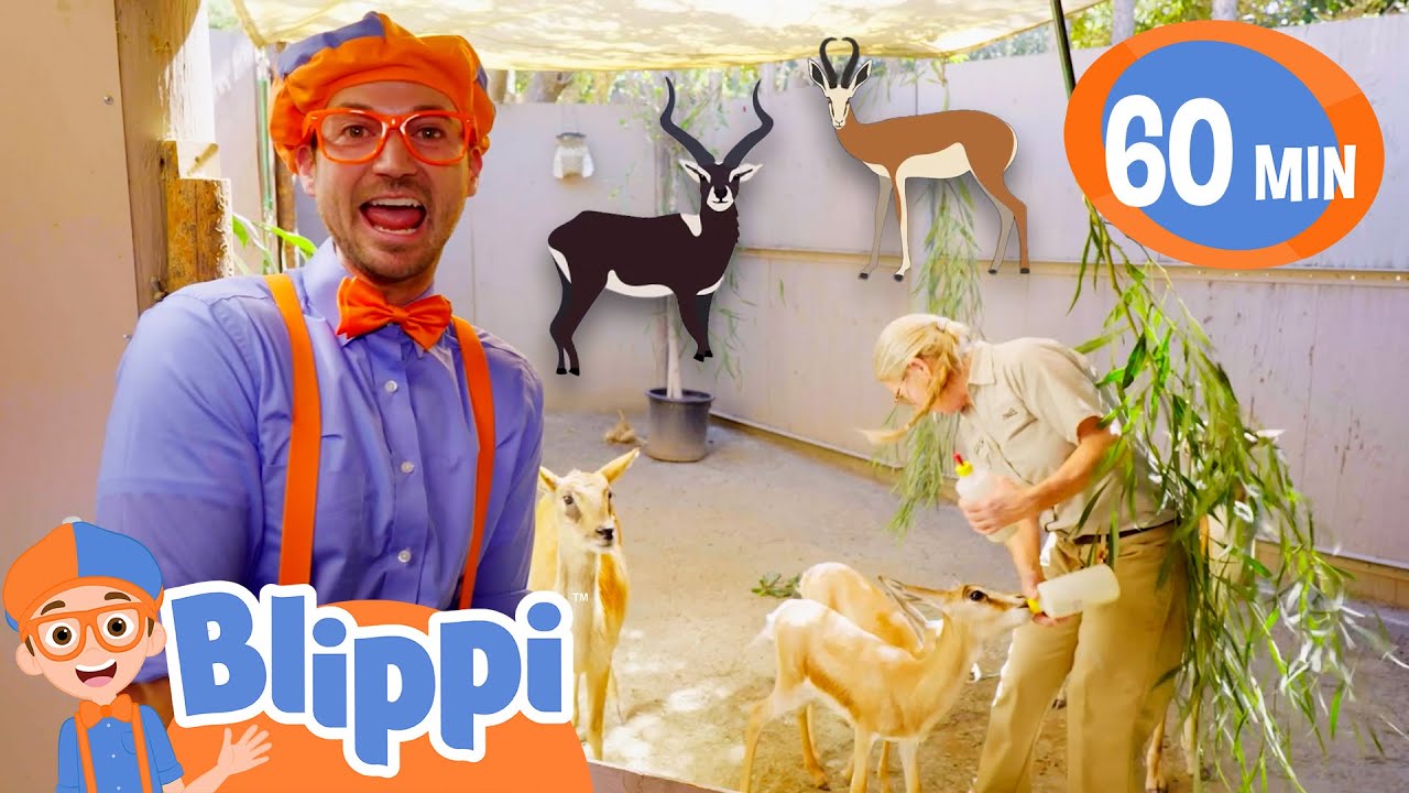 Blippi Loves Zoo Animals! | 1 Hour of Blippi Animals | Educational ...