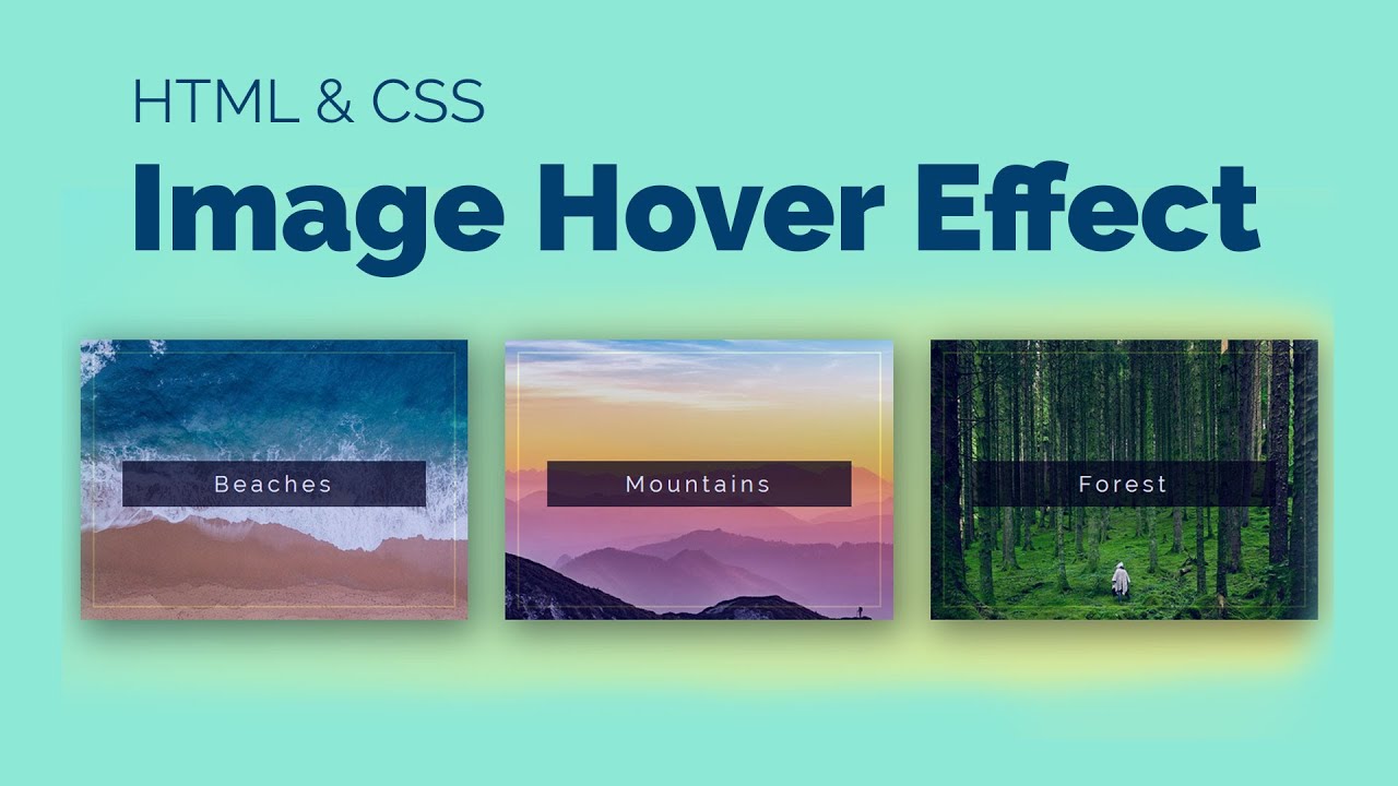 Image hover effect using HTML and CSS | Image hover css | Image overlay effect | Image caption ...