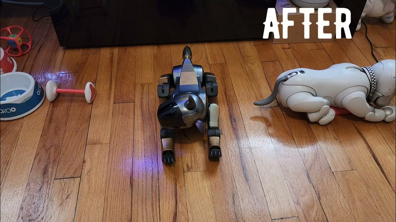 Sony AIBO ERS-210 PAS / TAS Repair Before & After - YouTube