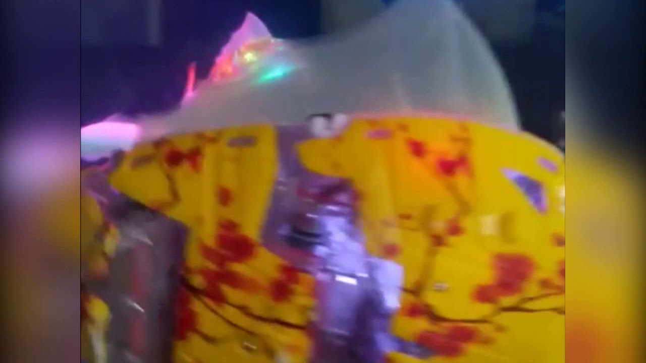 Robot fish, MIRO マイロ 鯉と一緒に - YouTube