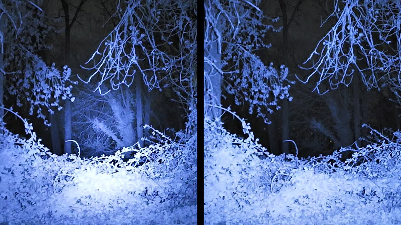 Surefire vs Inforce vs Olight - Vampire Illuminator Comparison - YouTube