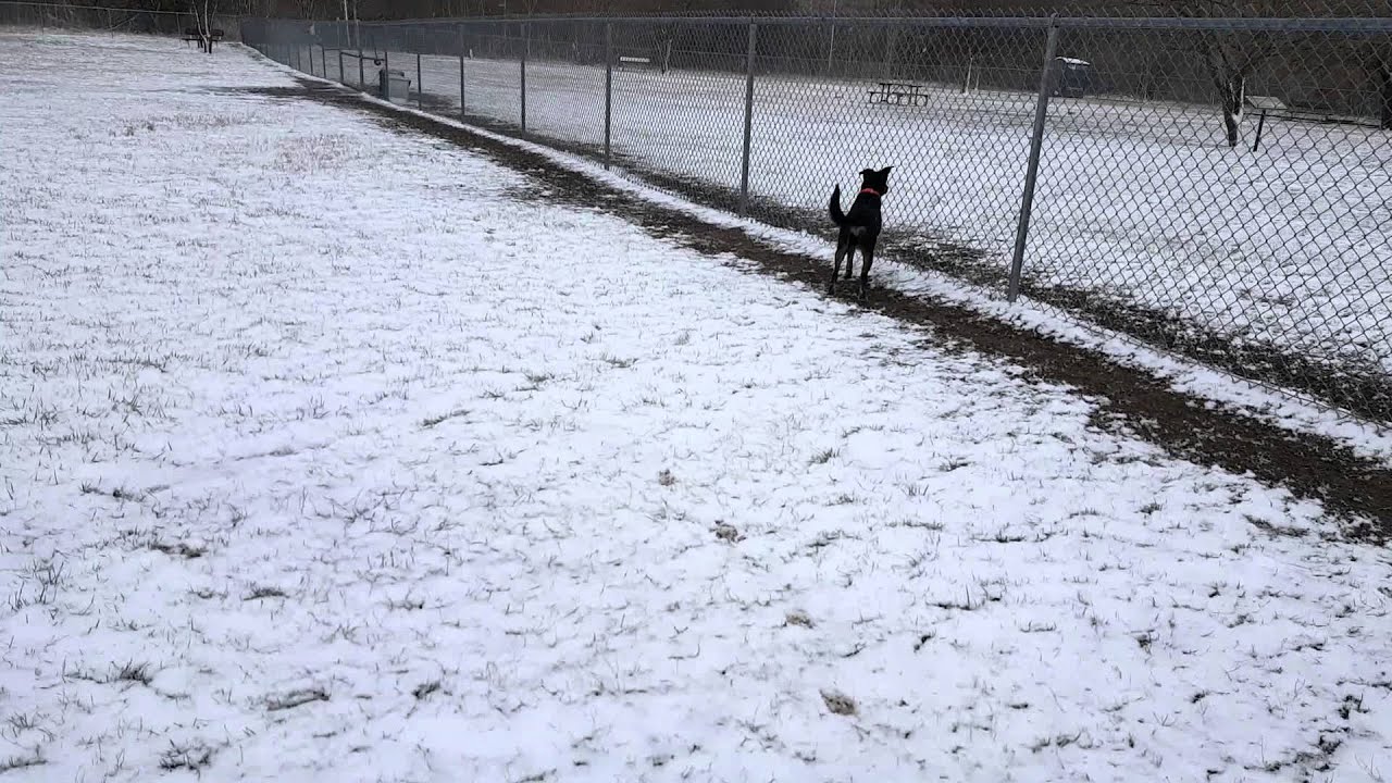 February 8, 2016 - YouTube