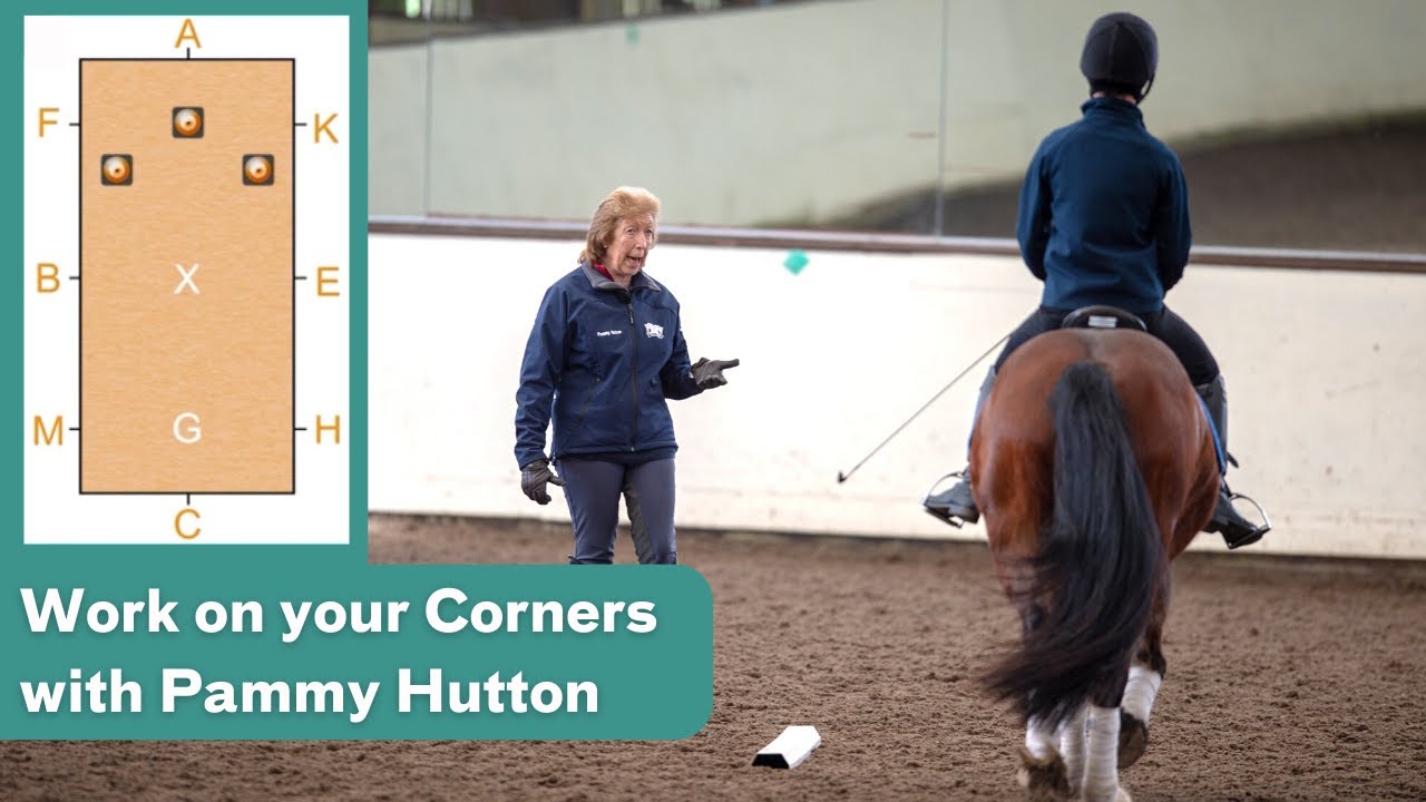 Work On Your Corners with Pammy Hutton | Half Halt With The Huttons ...