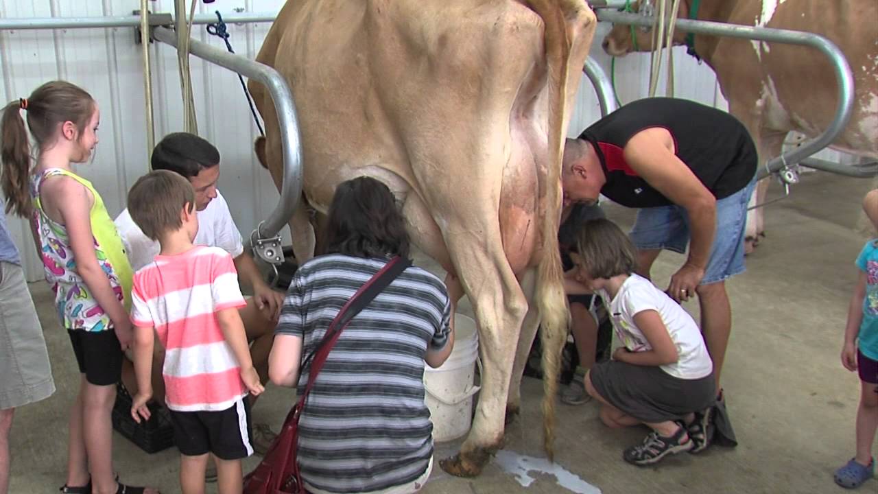 Something for Everyone at the MoCo Fair! - YouTube