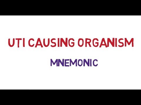 UTI causing organism mnemonic - YouTube