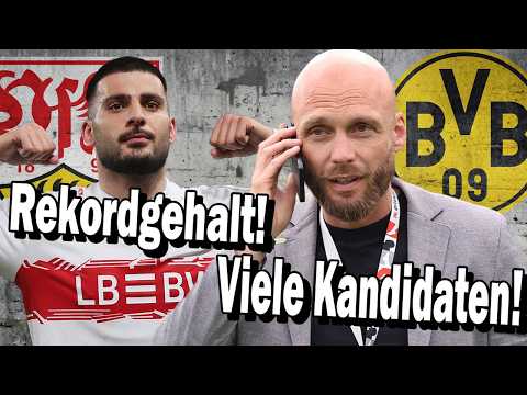 4 NEUE BVB-Kandidaten! VfB: Undav fordert MEGA-Gehalt!