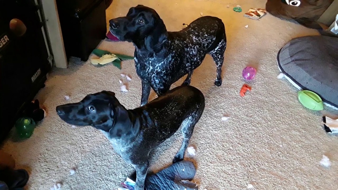 Spinning Pointers - YouTube