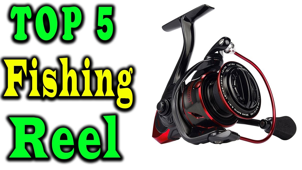 TOP 5 BEST Fishing Reel Review 2024 - YouTube