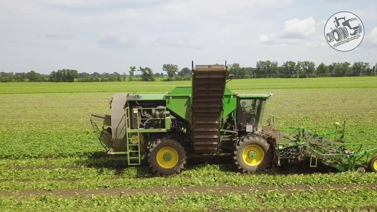VOGEL Cucumber harvesting machine - YouTube