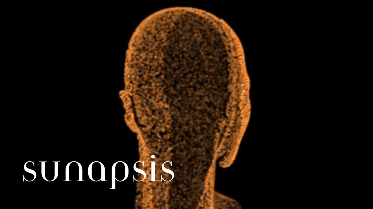 Sunapsis - YouTube