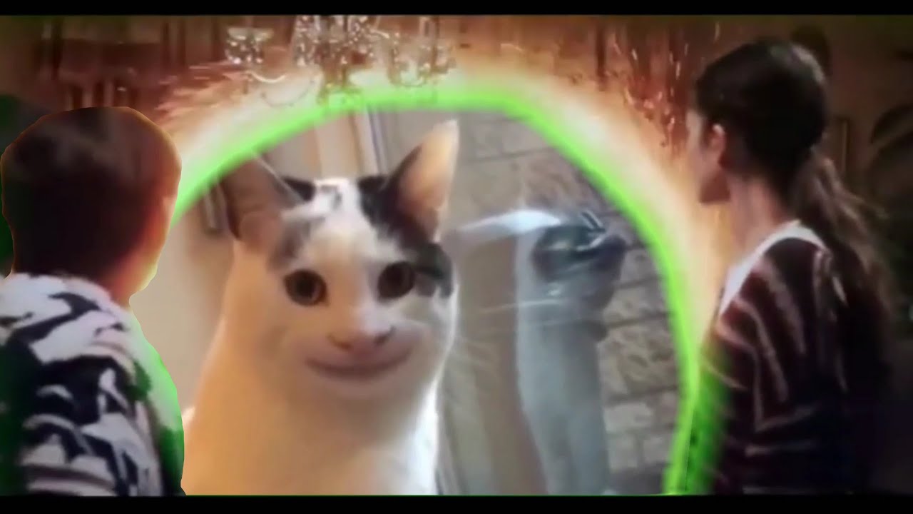 Spider-Man:No Way Home Deleted Scene | Beluga The Spider-Cat! - YouTube