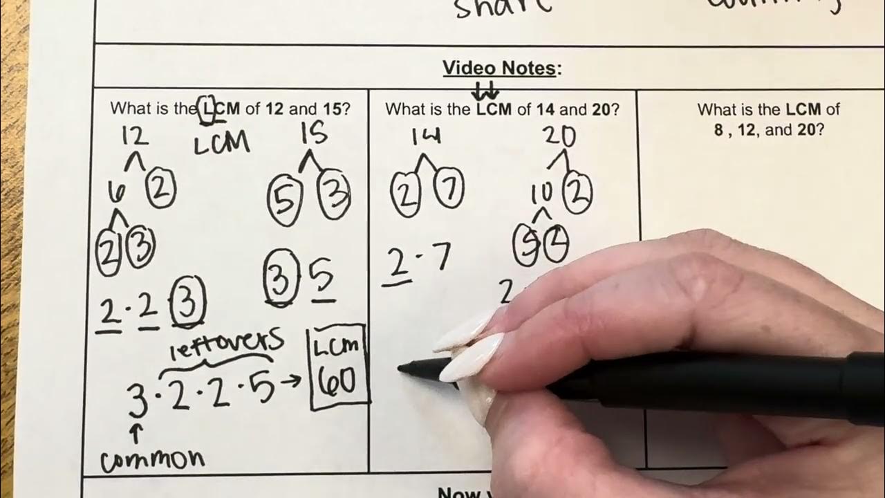 Least Common Multiple - YouTube