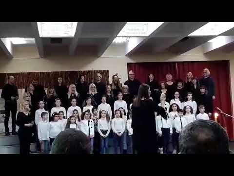 Sveti Sava OS Dusan Radovic 27.01.2020. - YouTube