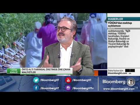 Hollandalılar 2 euro fiyat verdi, bu kış domates 50 lirayı geçer