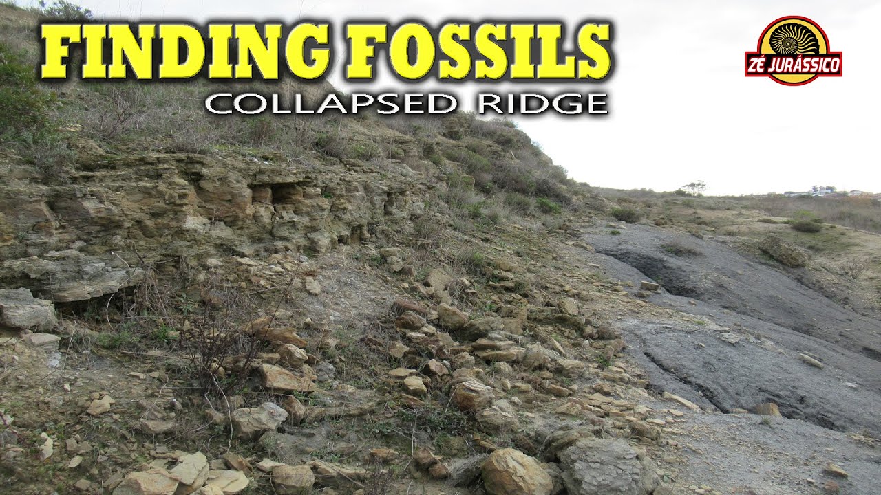 Finding Fossils - Collapsed Ridge - YouTube