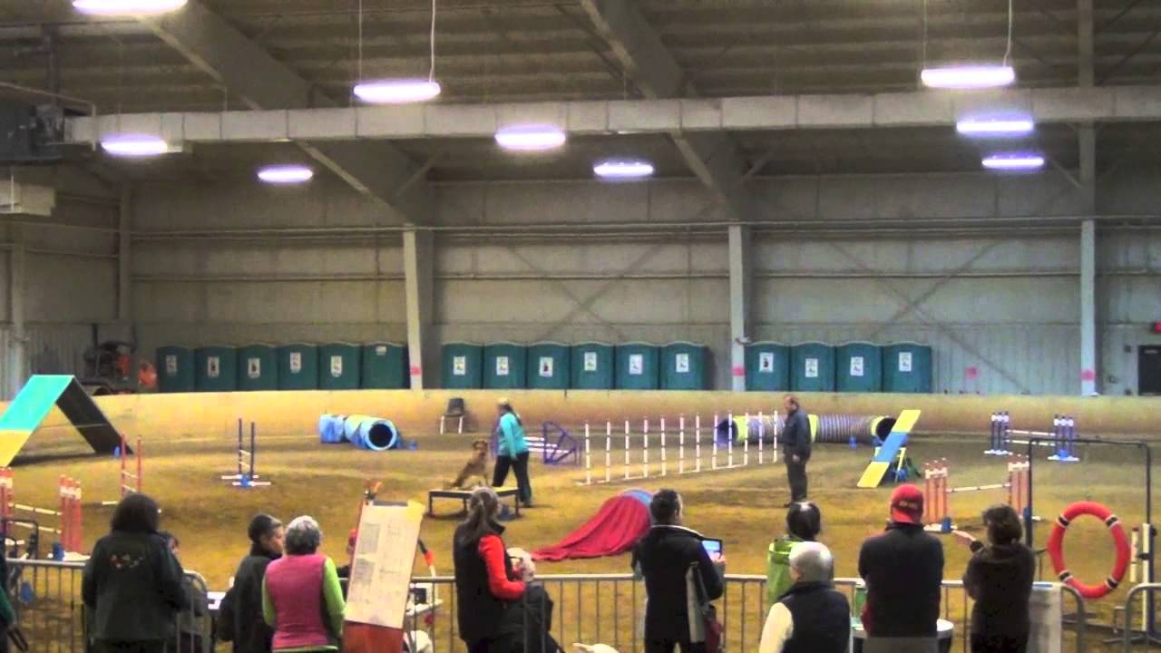 Dylan Masters STD DCKC - YouTube