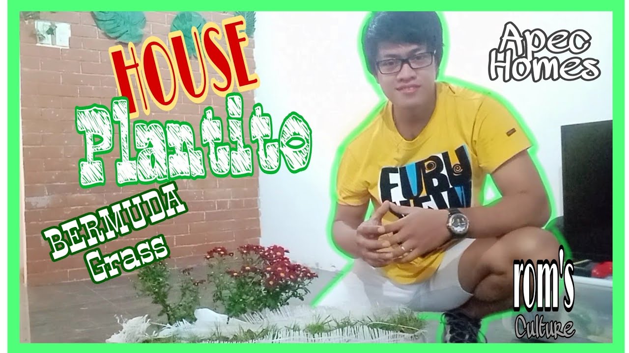House Plantito | Bermuda Grass | House Improvements | Apec homes | roms culture | vlog#29 - YouTube