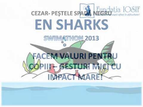 CEZAR - PESTE SPADA NEGRU - YouTube