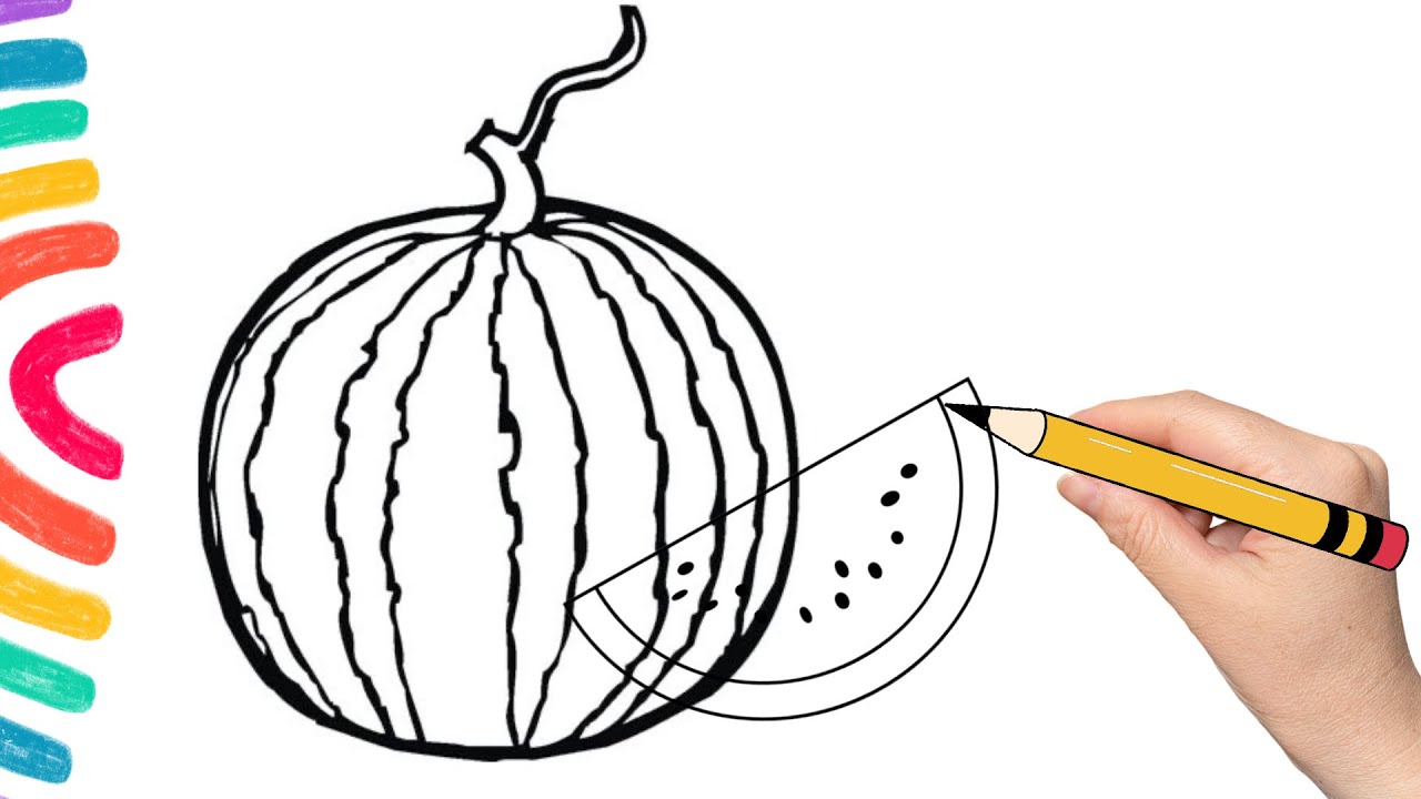 How to draw and color a watermelon? 🍉Watch the video and learn! Draw ...