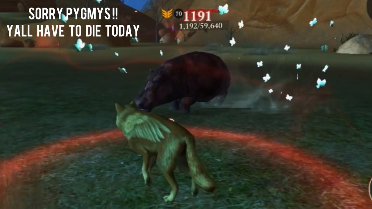 The Wolf - Pygmy Champion Hunt - YouTube