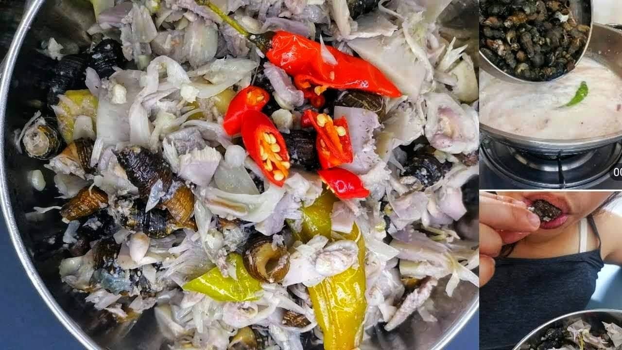 KUMAKAIN BA KAYO NITO?/TABAGWANG IN BICOL/SUSU/FRESHWATER SNAIL/ANG ...