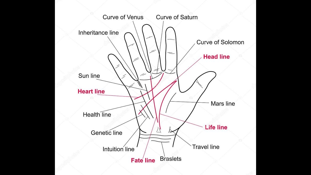 #Palmistry = Prediction of Fish Sign in hand - YouTube