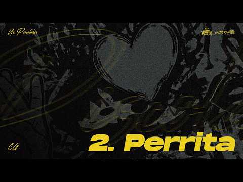 CG - PERRITA (VISUALIZER)