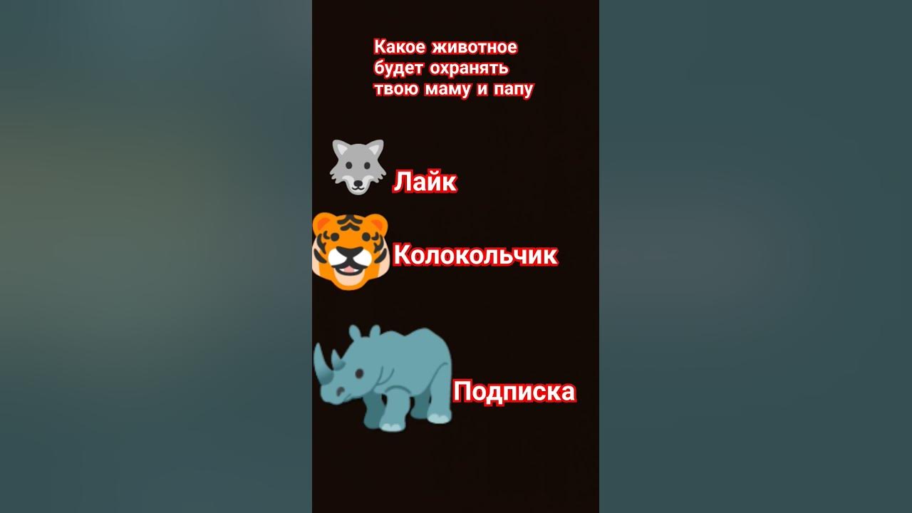 мама и папа Youtube