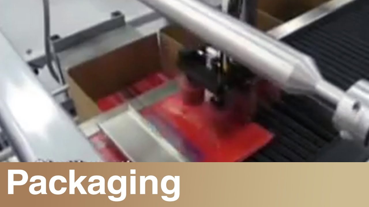 Shuttleworth - Envelopes - Conveyor interface with a Case Packer - YouTube