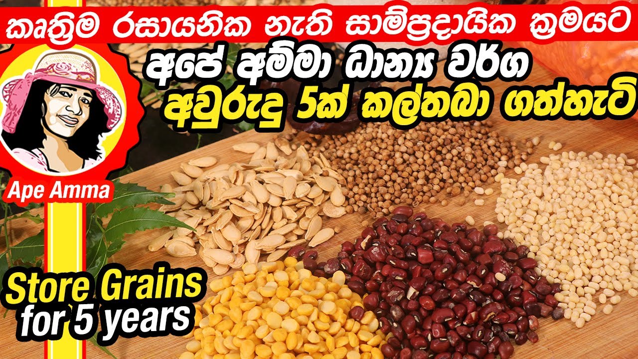 සාම්ප්‍රදායික ක්‍රමයට ධාන්‍ය වර්ග අවුරුදු 5ක් කල්තබා ගනිමු Storing ...