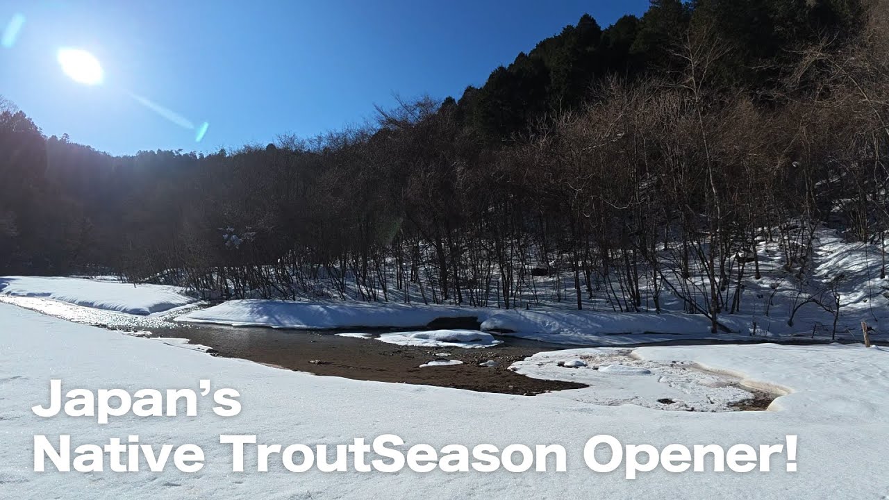 Japan’s Native Trout Season Opener! Clear Water & Tough Bite - YouTube