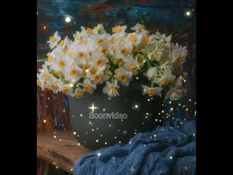 Dəstək olan hər kəsə təşəkkür edirəm.#soonvideo #dinimahnilar  #dinimüzik #maraqlivideolar