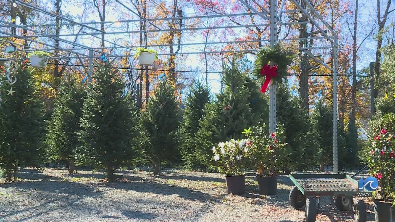 Real vs. fake Christmas trees. How tariffs are impacting artificial ...